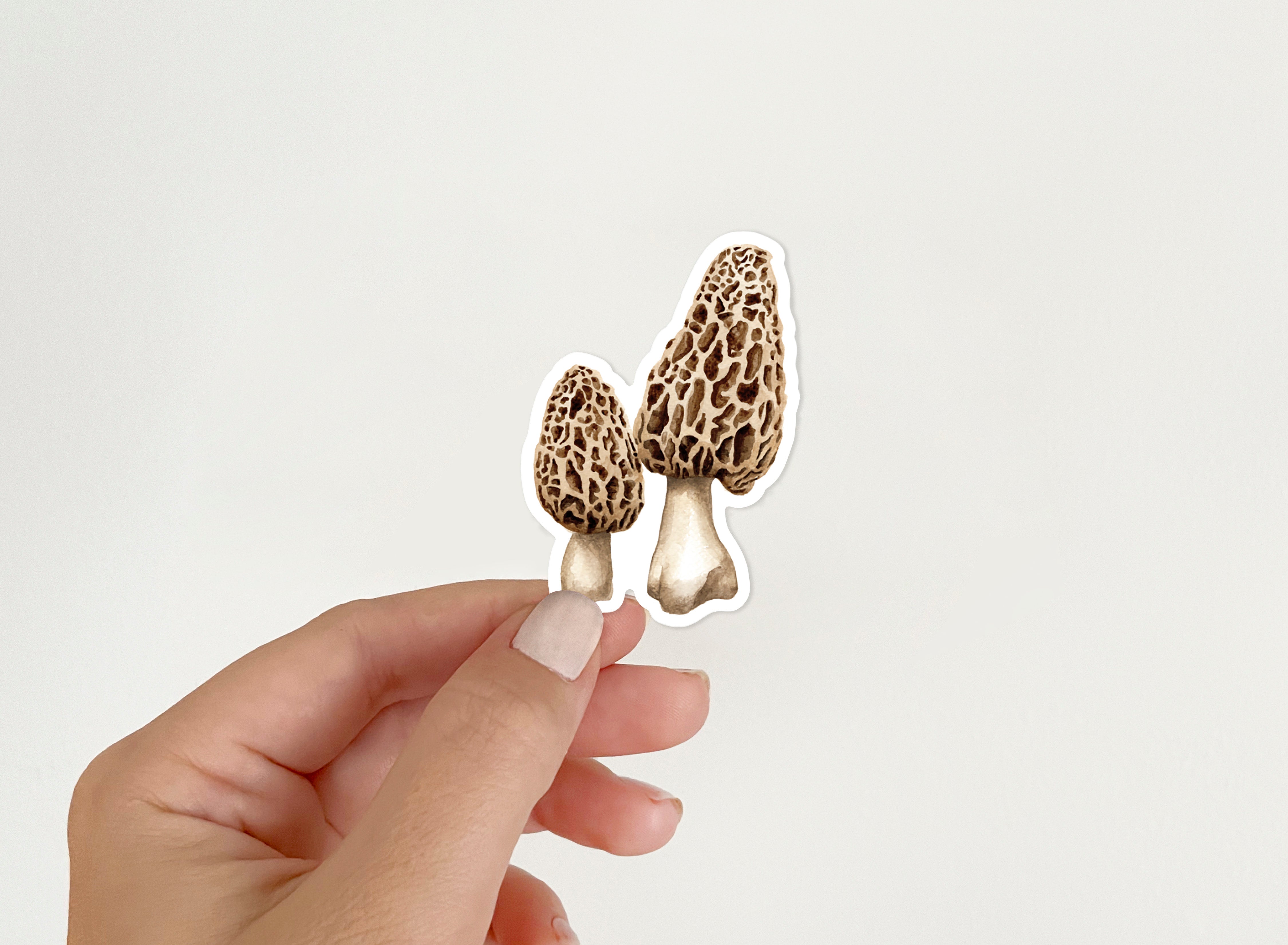 Morel Mushroom Vinyl Sticker, Local Artist – Poppy Things