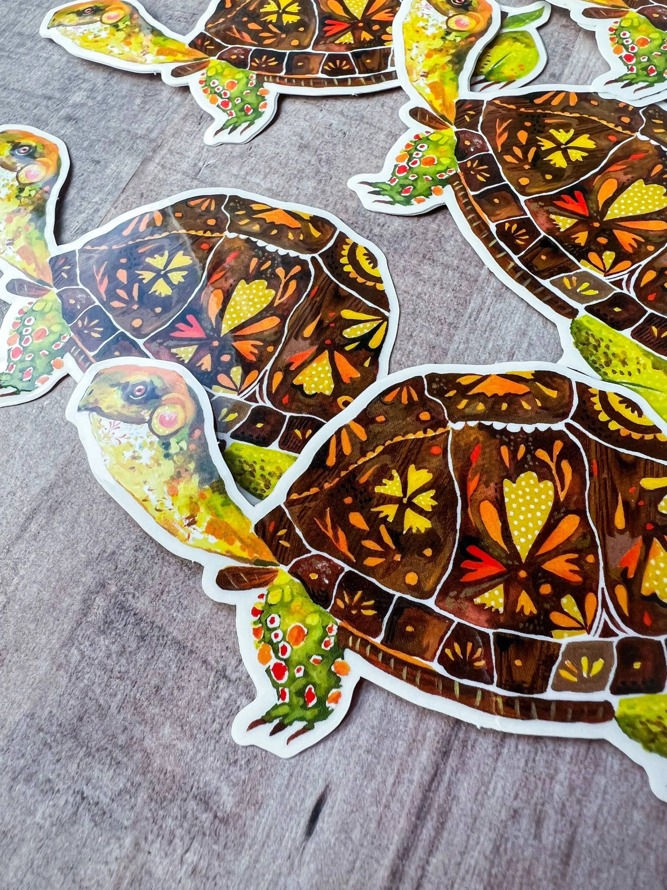 Box Turtle Sticker – Poppy Things